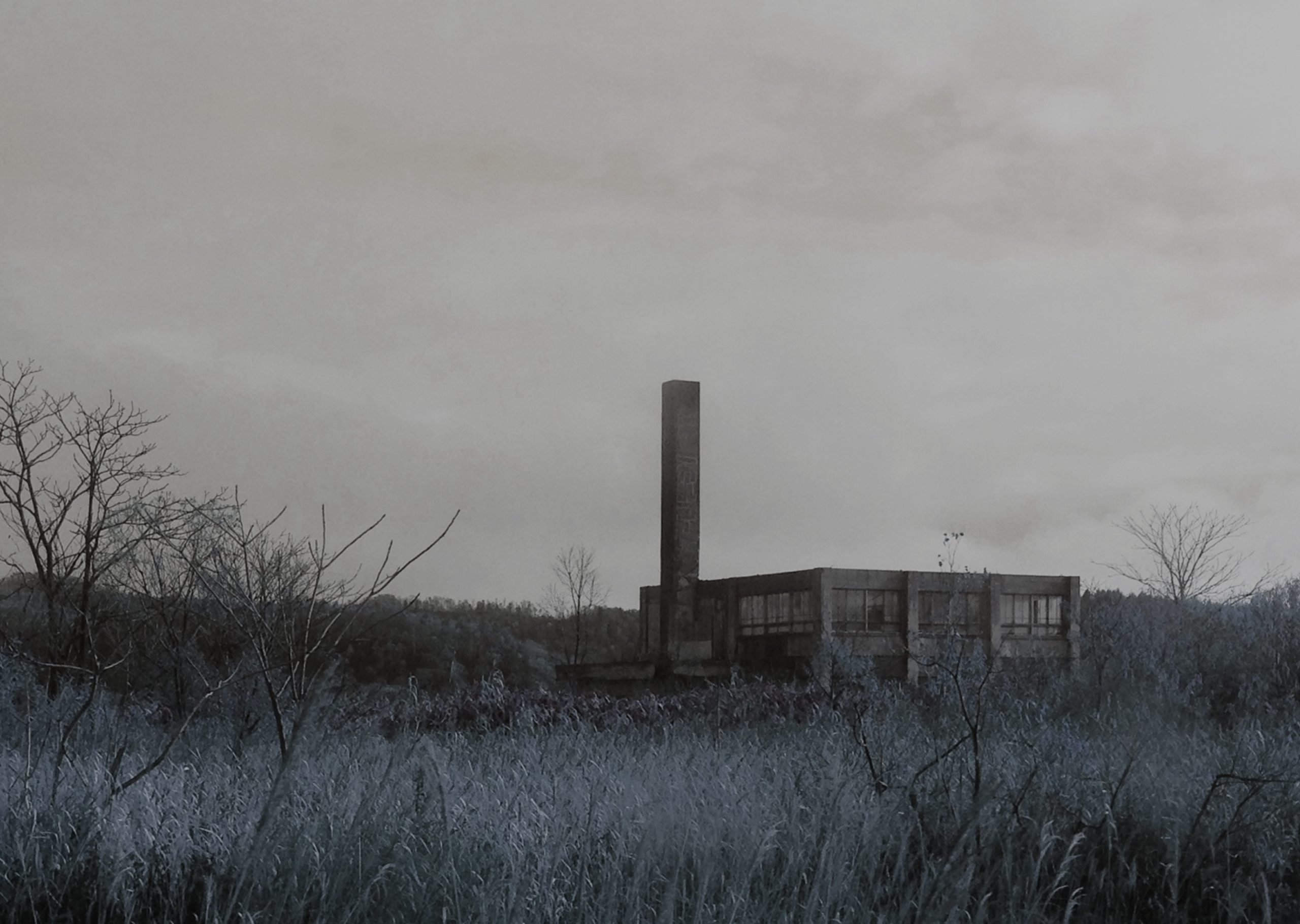 JINYA DISC | JINYA DISC